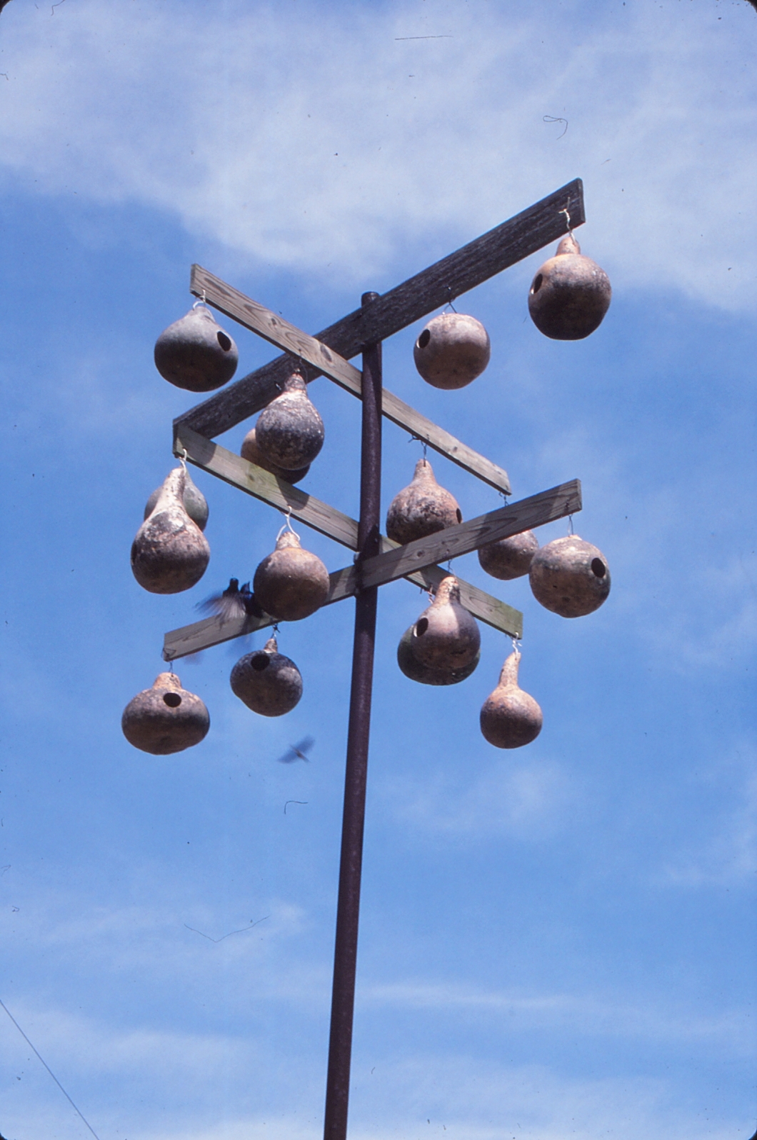 Lessons on being human - Alabama Humanities Alliance